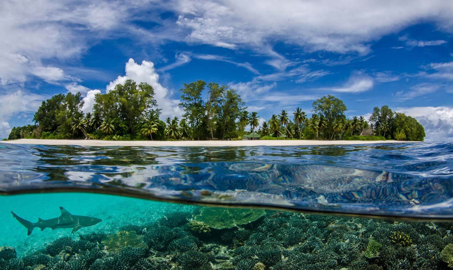 An Ultimate Kenya And Seychelles Honeymoon Package