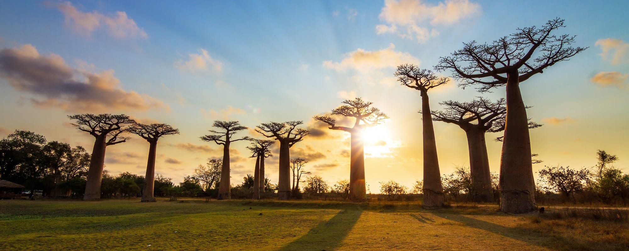 Madagascar Facts, History, Religion, Tourism, Map, People