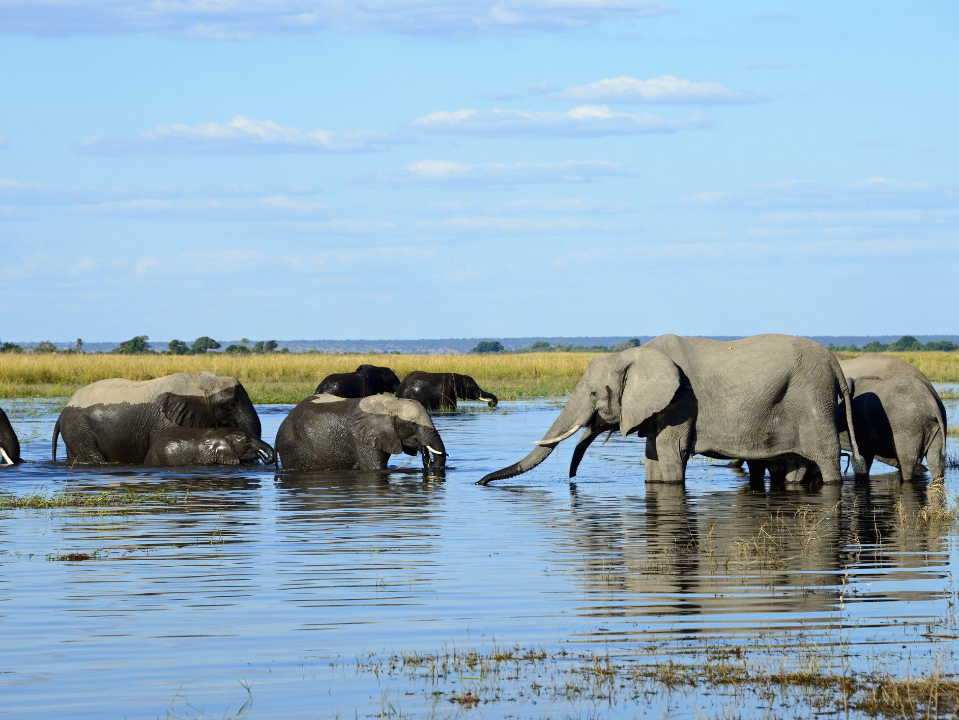 Botswana National Parks & Game Reserves | Tourist Attractions