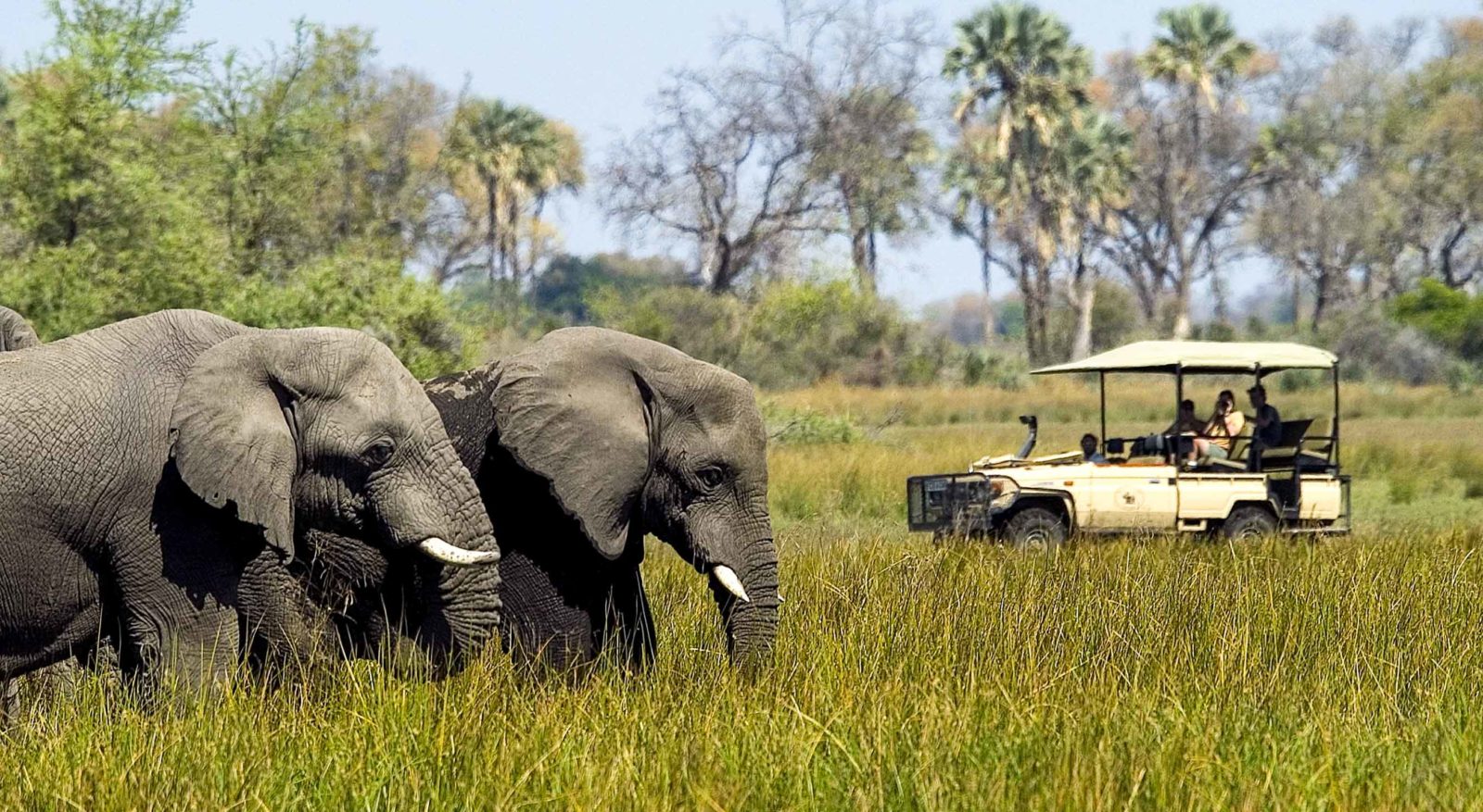 25 Hidden-Gem African Safari Destinations For Luxury Travelers