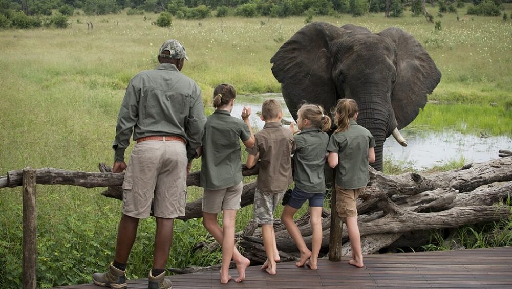 Luxury Family Safaris Africa | Packages & Destinations 2027