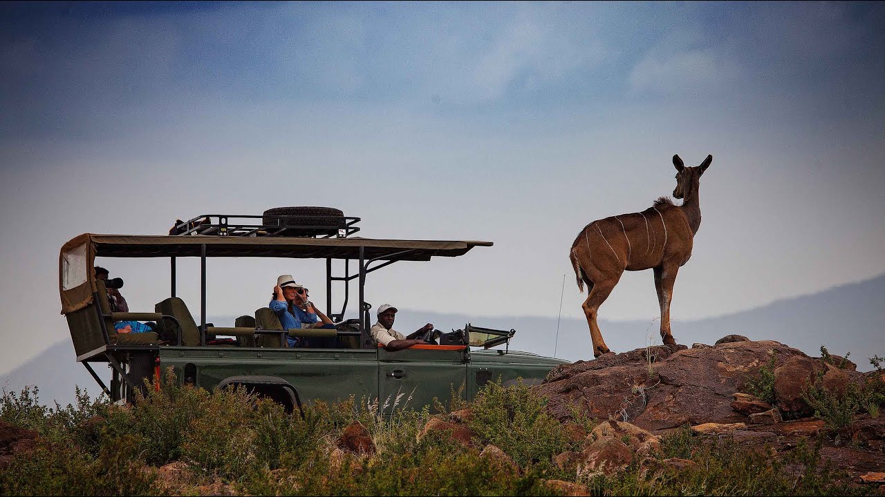 Luxury Safari Packages | VIP, 5-Star Safari Tours & Holidays