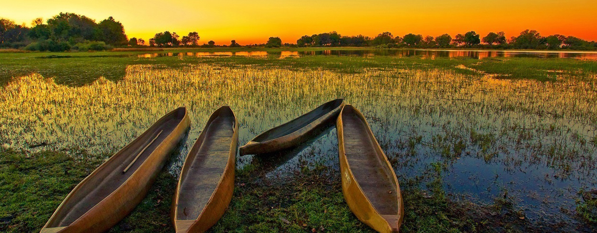 Botswana Bucket List: 18 Epic Things to Do in Botswana
