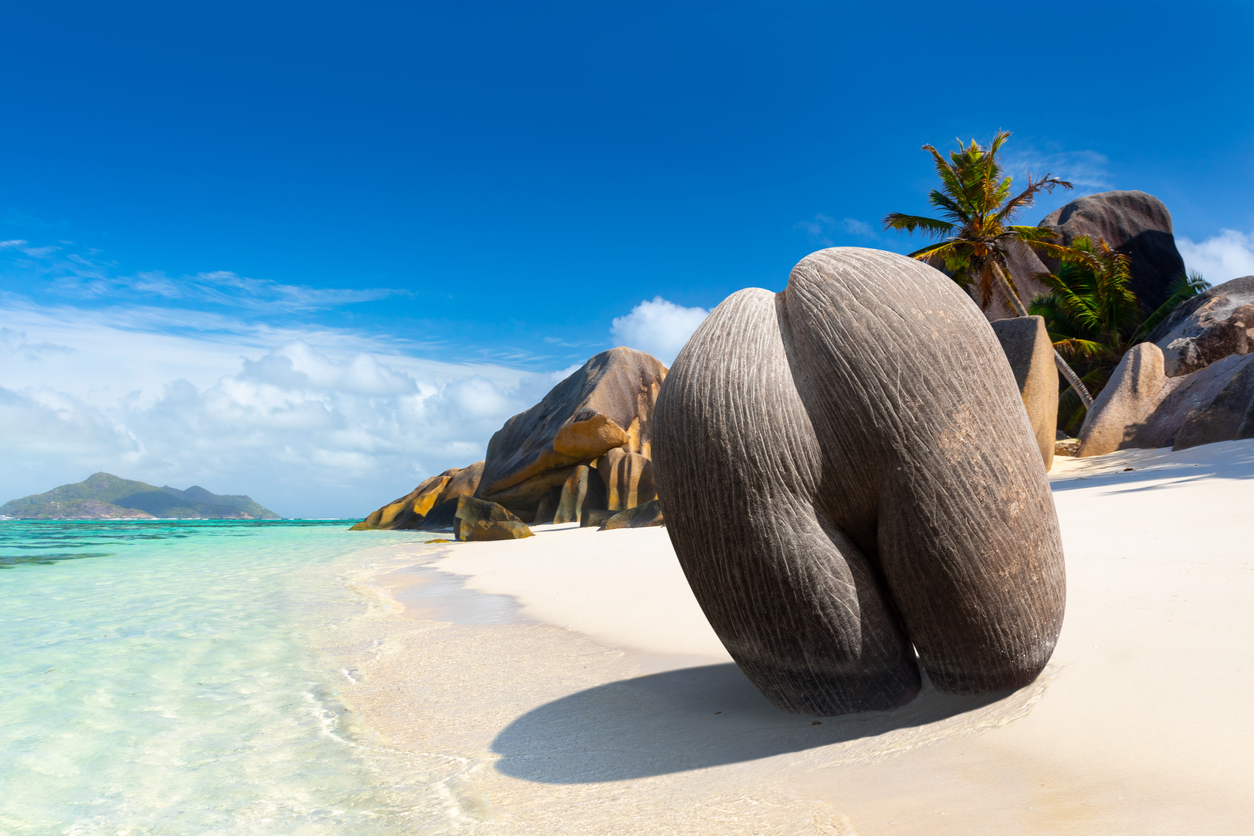 Seychelles' Praslin vs Mahe Island Honeymoon Itinerary Guide