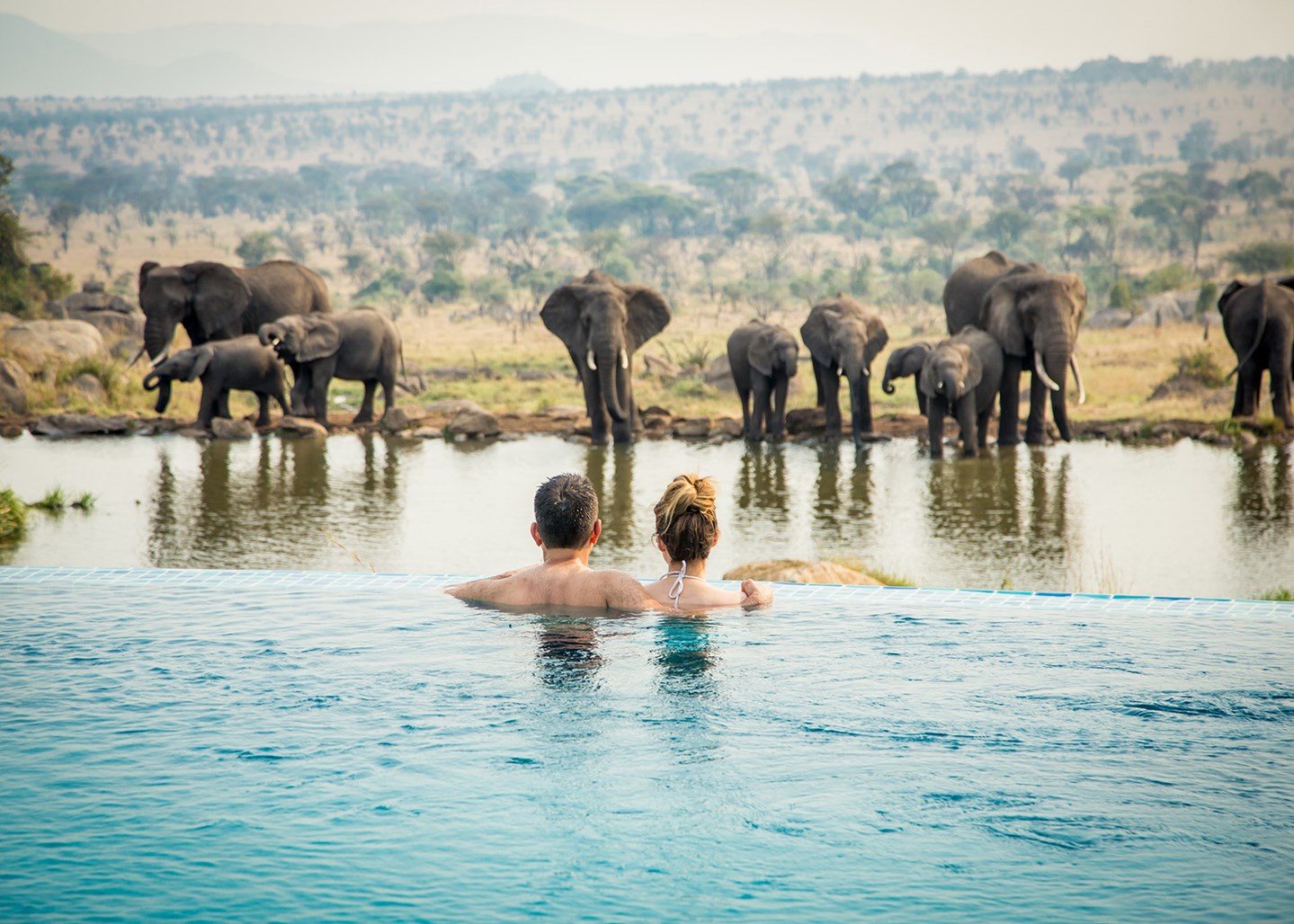 Exclusive African Safaris: The High-End African Safari Tours