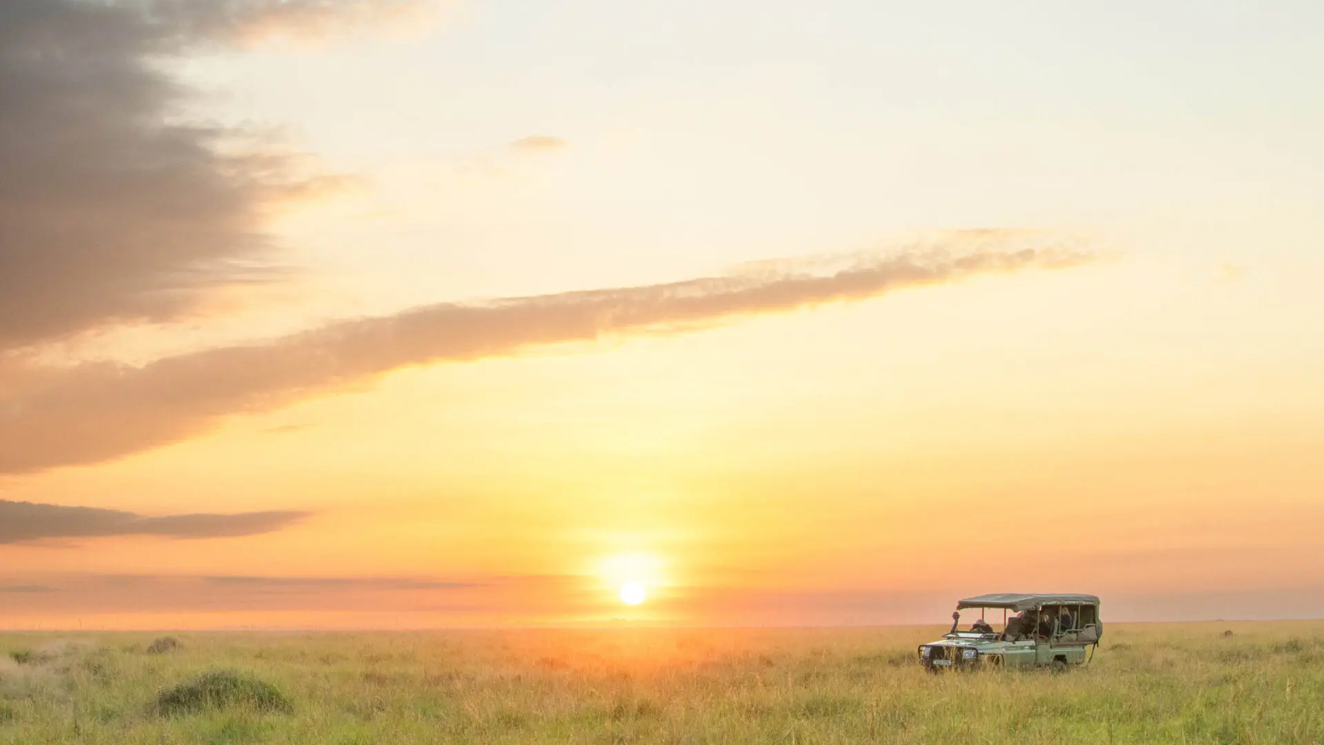 The Masai Mara Safaris (Packages, Things To Do & Why Visit?)